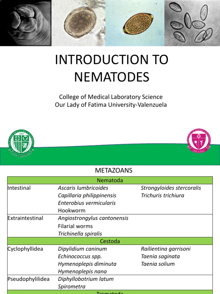 Introduction To Nematodes: College of Medical Laboratory Science Our ...