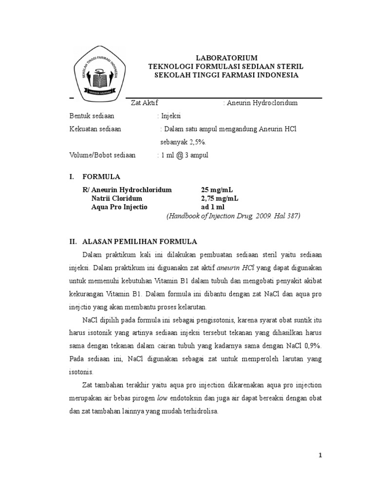 Overlord Volume 12 - The Paladin of Holy Kingdom | PDF