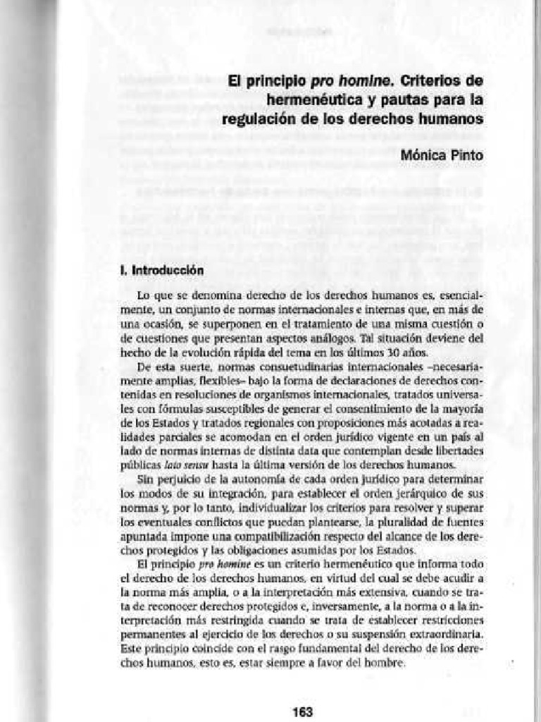 El principio pro homine. Criterios de hermenéutica y pautas para la ...