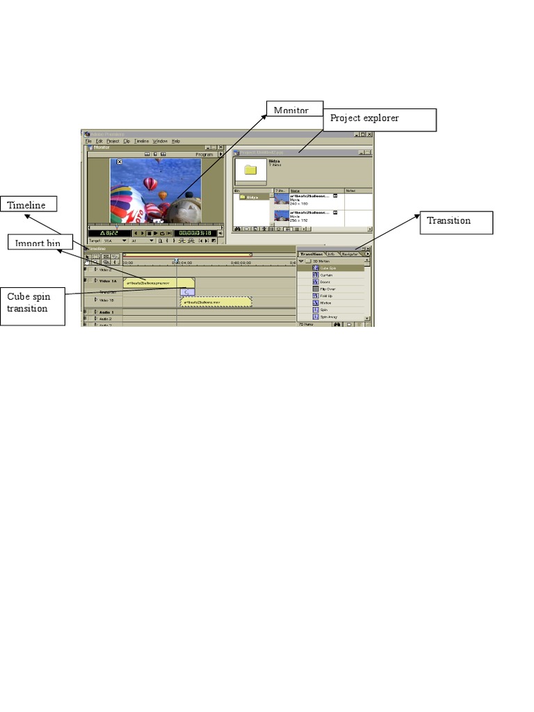 Project Explorer Timeline Overview | PDF