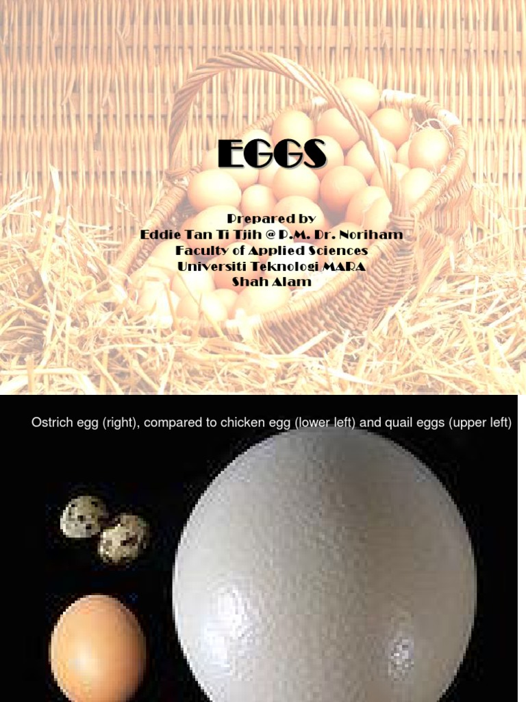 Chapter 4 - Eggs | PDF | Egg White | Egg As Food
