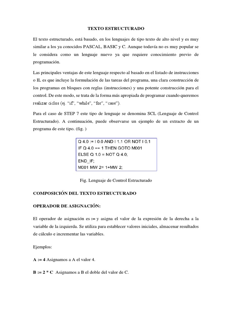 Texto Estructurado Dasi | PDF | Lenguaje de programación | Notación