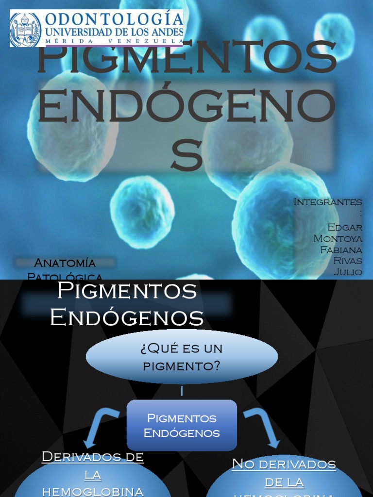 PIGMENTOS ENDÓGENOS | Ciencias de la tierra y de la vida | Biología