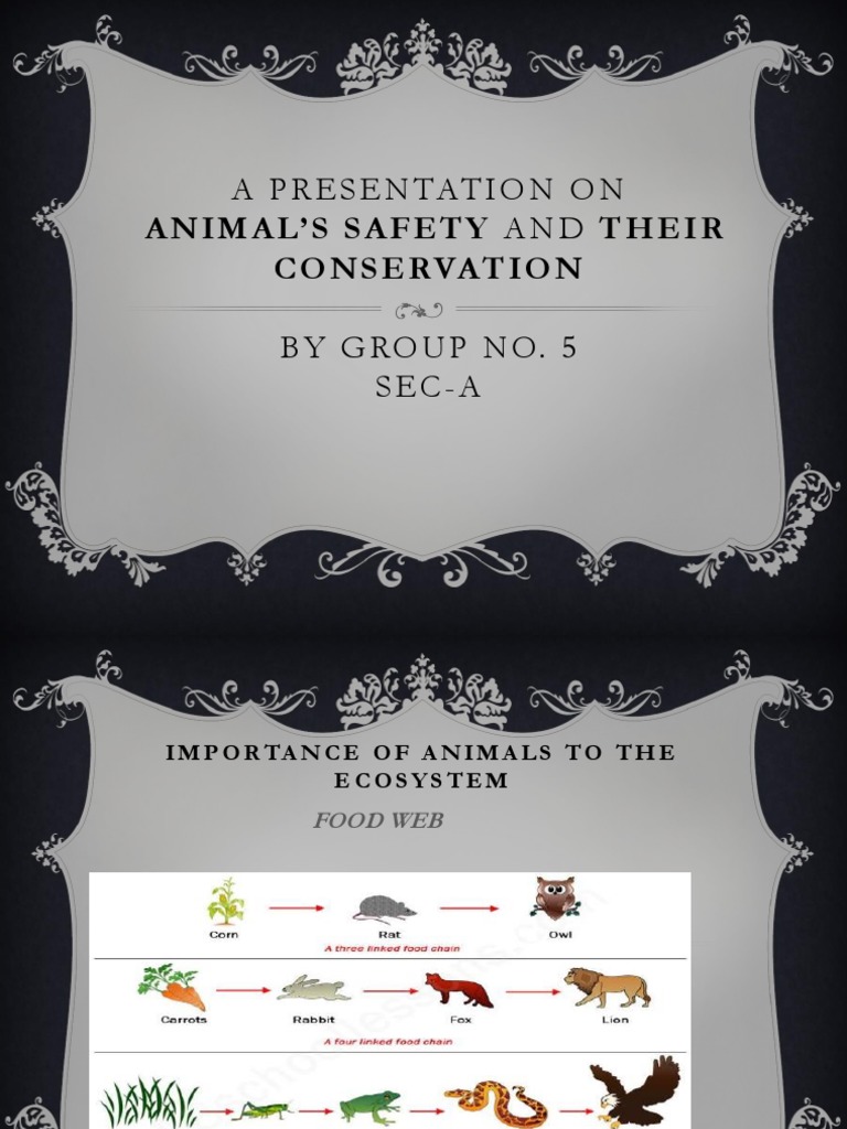 Presentation On Animals Safety | PDF | World Wide Fund For Nature ...