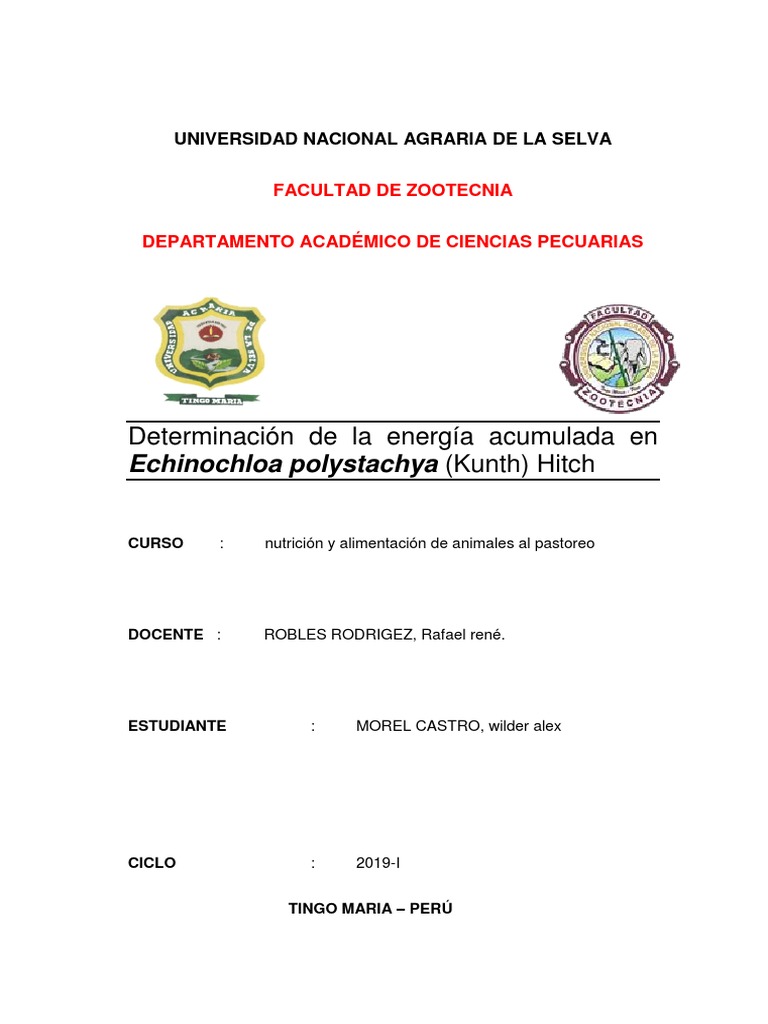 Determinacion de La Energia en El Pasto Echinochloa Polystachia UNAS ... Determinacion de La Energia en El Pasto Echinochloa Polystachia UNAS ...