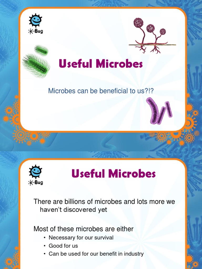 Useful Microbes Presentation | PDF | Microorganism | Fermentation