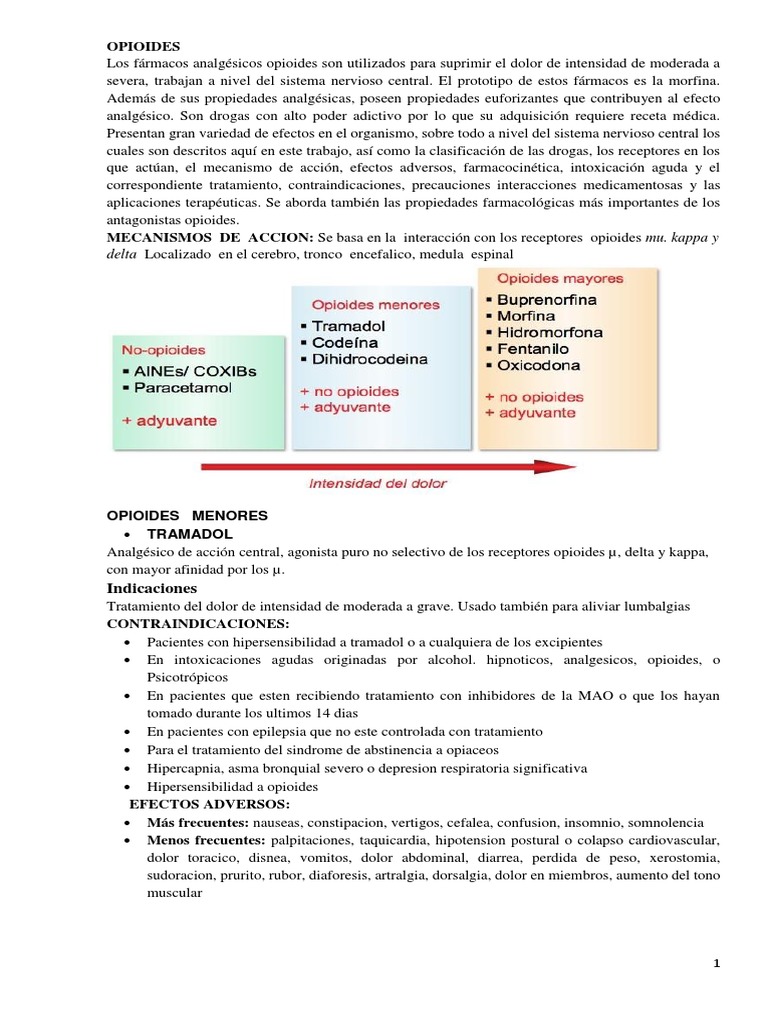 Opioides. Analgésicos Menores y Mayores | PDF | Opioide | Drogas