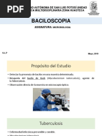 Uromune | PDF | Sistema inmune | Las bacterias