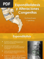 Signo del Perrito Escocés en Radiología | PDF | Vértebra | Medicina