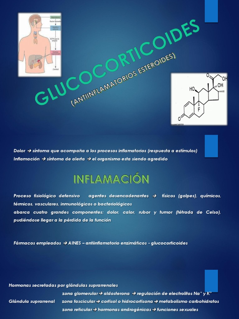 Glucocorticoides | PDF | Cortisol | Glucocorticoides