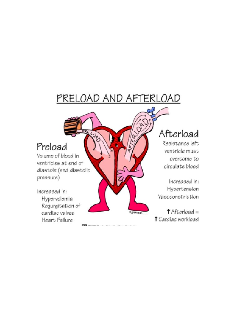 Afterload and Preload | PDF