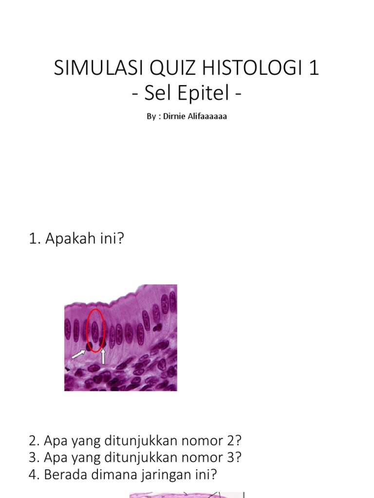 Simulasi Quiz Histologi 1 | PDF