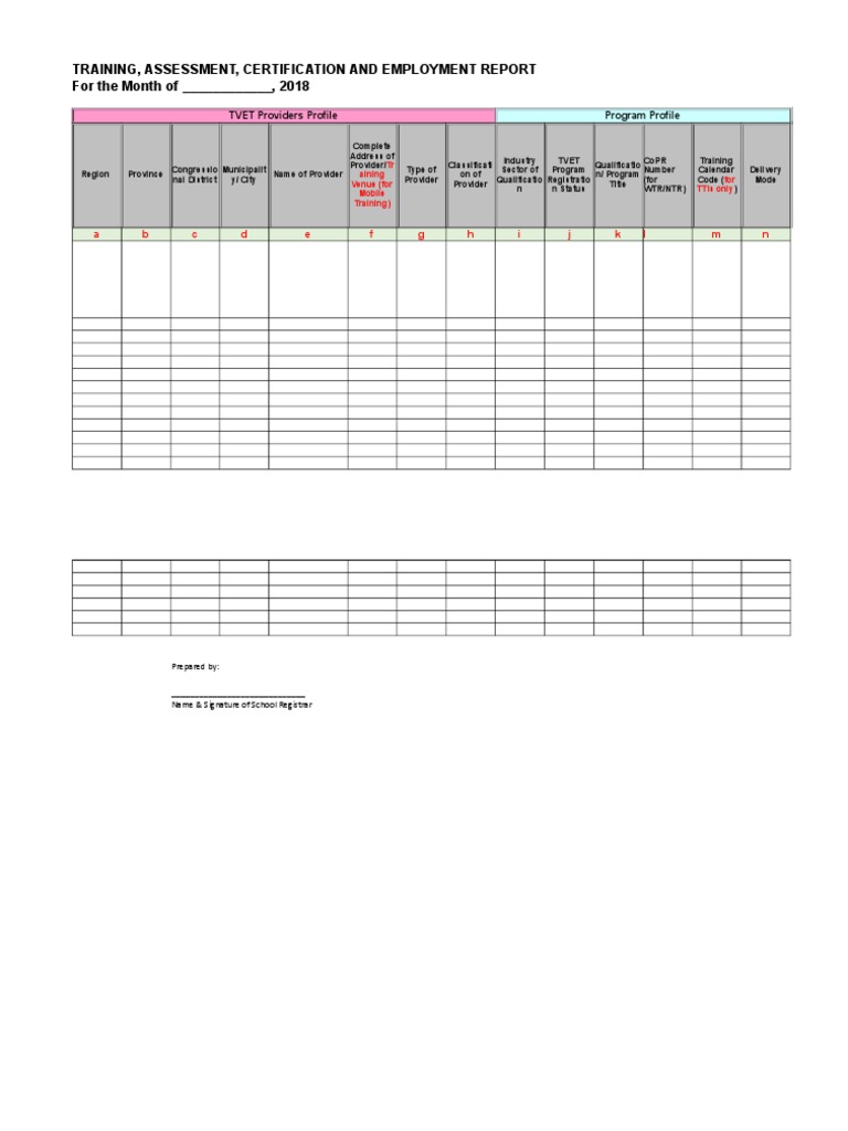 MIS Template | PDF | Business