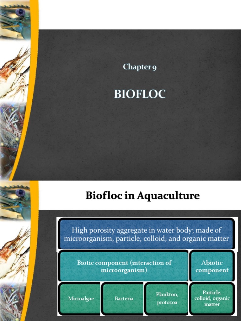 Chapter 9 - Biofloc Technology (BFT) | PDF | Organic Matter | Microorganism