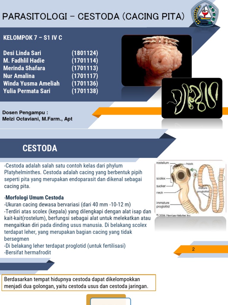 Morfologi dan Penyakit Cestoda | PDF