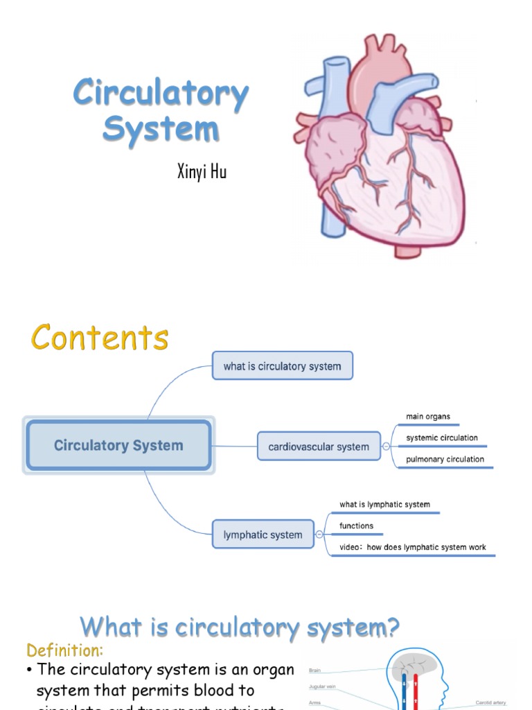 The Circulatory System | PDF