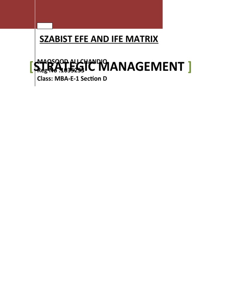 Strategic Management: Szabist Efe and Ife Matrix | PDF | Karachi | E ...