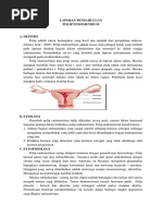 PPK Pua-P (Polip) | PDF