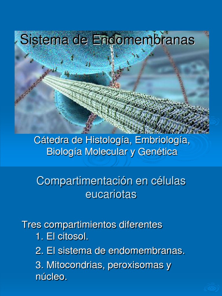 Sistema de Endomembranas PDF | PDF | Retículo endoplásmico | Proteínas