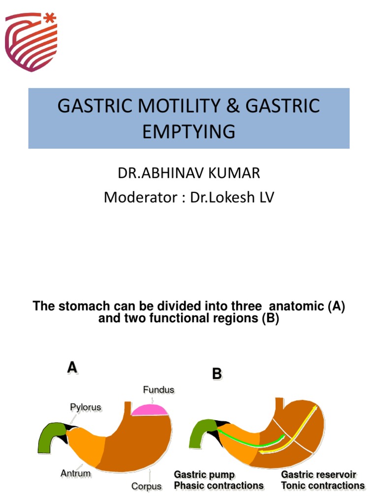 Gastric Motility & Gastric Emptying | PDF | Stomach | Abdomen
