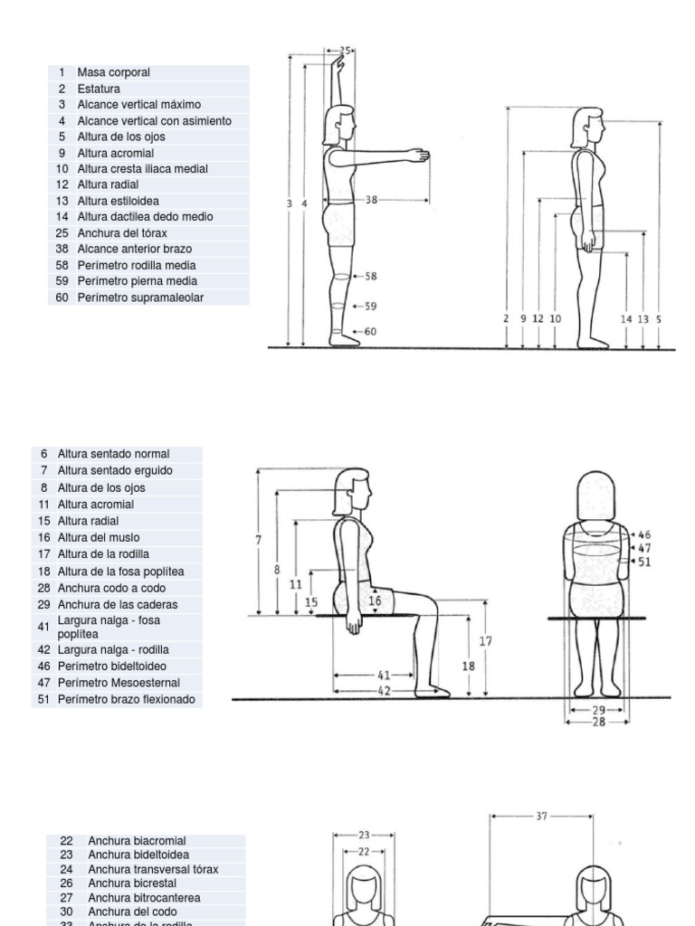 Medidas Antropometricas | PDF