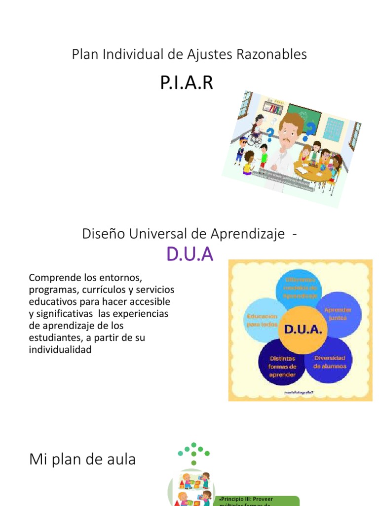Plan Individual de Ajustes Razonables | PDF | Aprendizaje ...