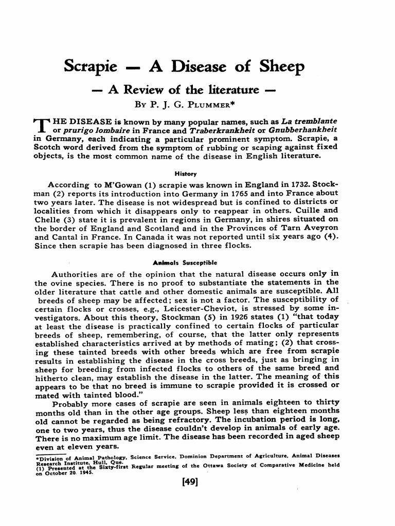 Scrapie Sheep: - A Disease of | PDF | Sheep | Infection
