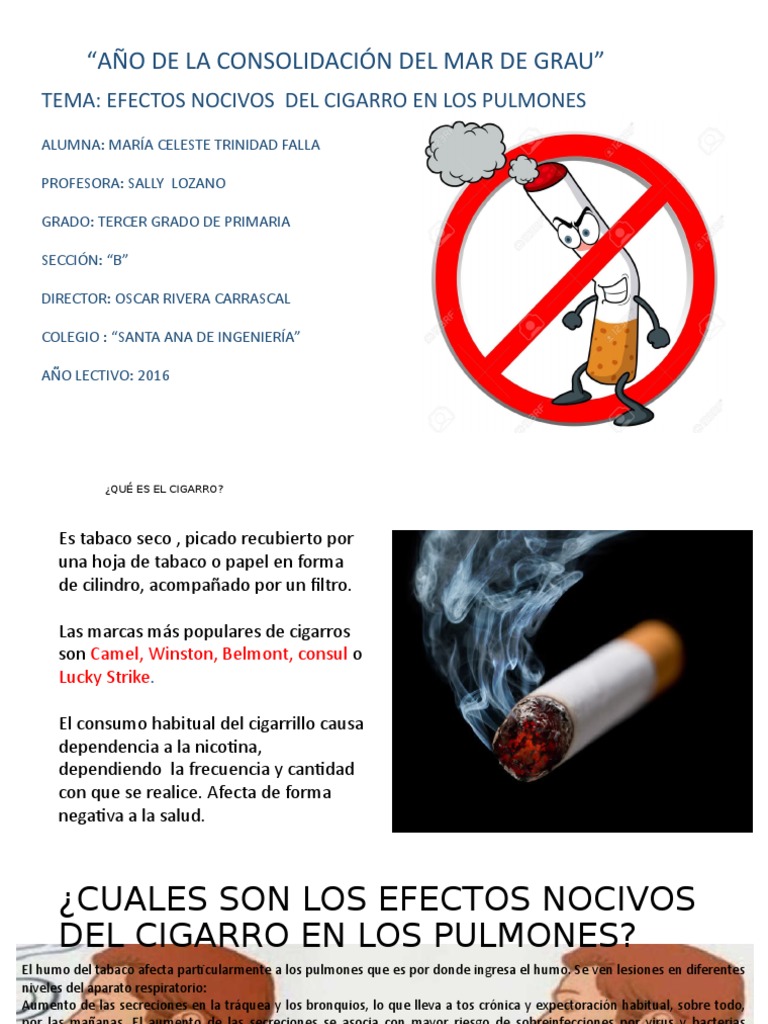 Efectos De Fumar Cigarrillos En Los Pulmones Descubre Los Efectos Del