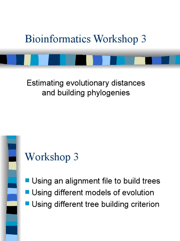 Bioinformatics Workshop 3: Estimating Evolutionary Distances and ...