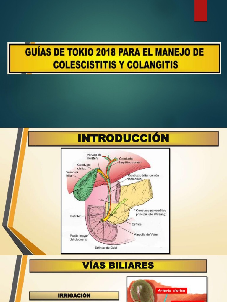 Expo Guias Tokio Colecistitis y Colangitis 2018 | PDF