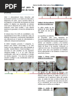 Códigos ICDAS para Restauraciones Dentales | PDF | Diente | Esmalte de ...