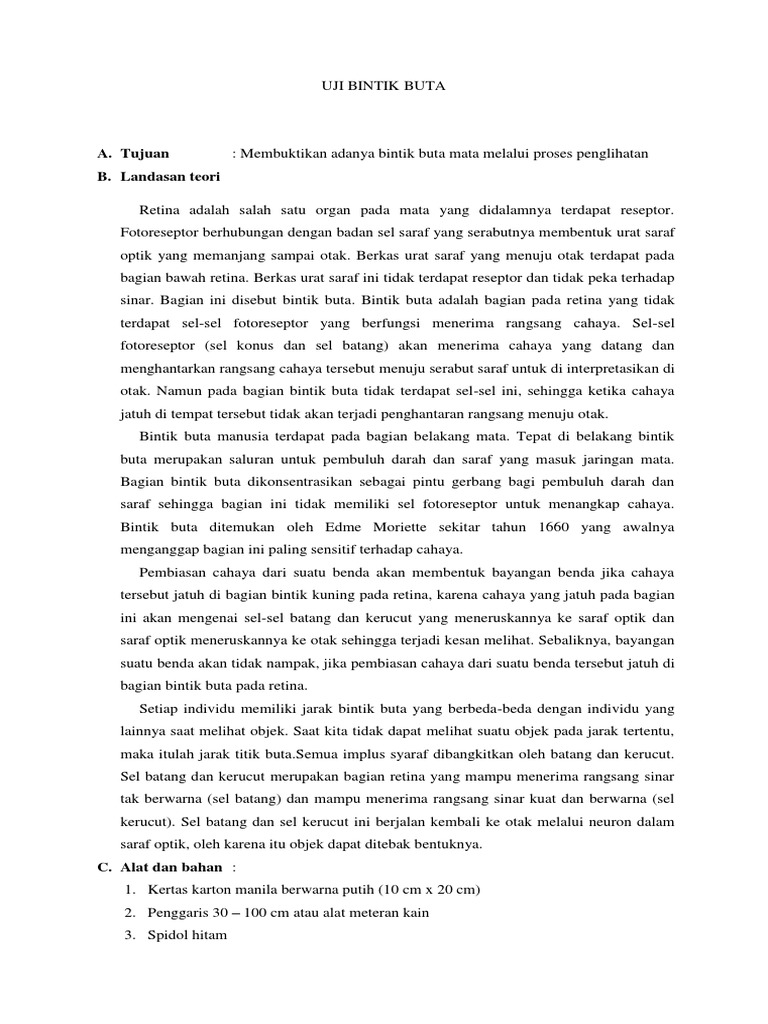 Uji Bintik Buta | PDF