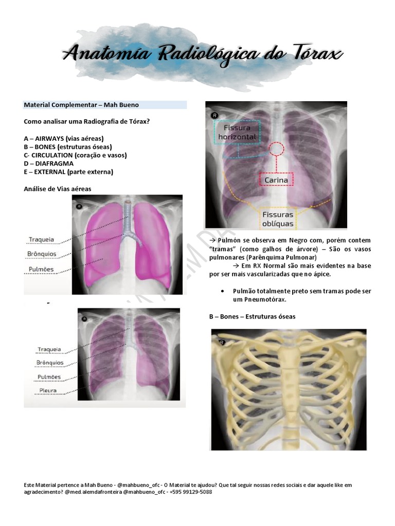 Medicina Por Imagens - Anatomia Radiológica Do Tórax | Coração | Pulmão