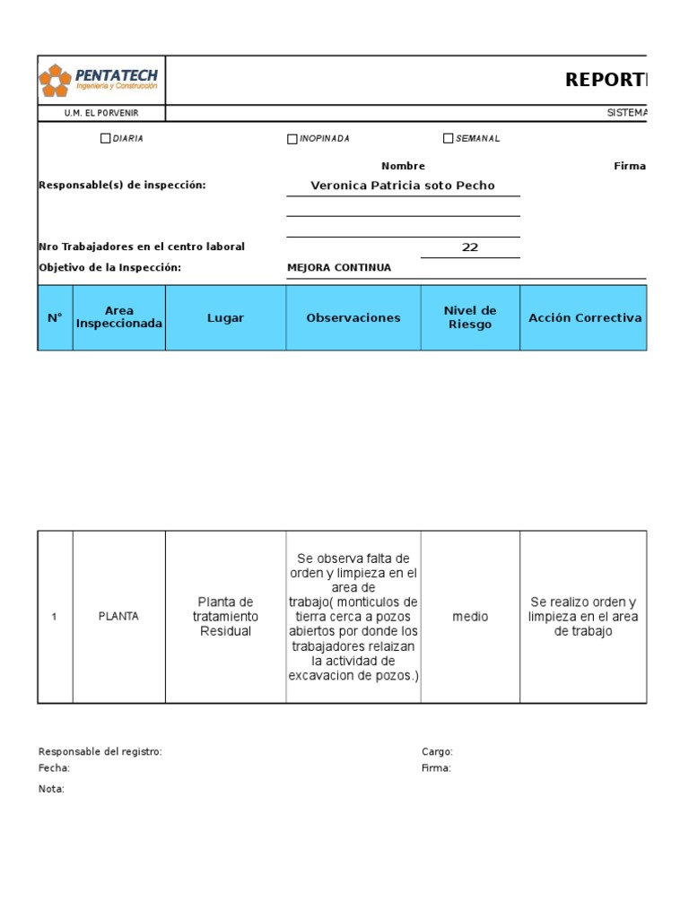 Reporte de Inspeccion | PDF | Business