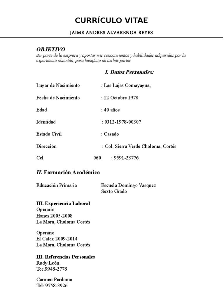Curriculum Vitae Jaime | PDF