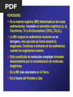 Tipos y Orígenes del Kerógeno | PDF