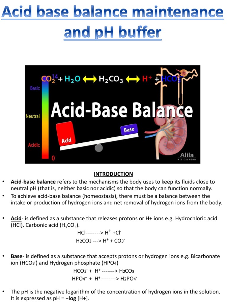 Acid Base Balance | PDF | Buffer Solution | Bicarbonate