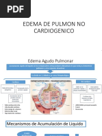 Signo de Mapache | PDF | Lesión | Medicina