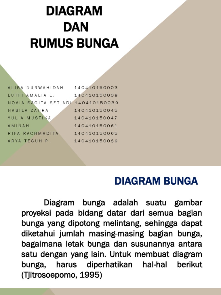 Diagram Bunga | PDF