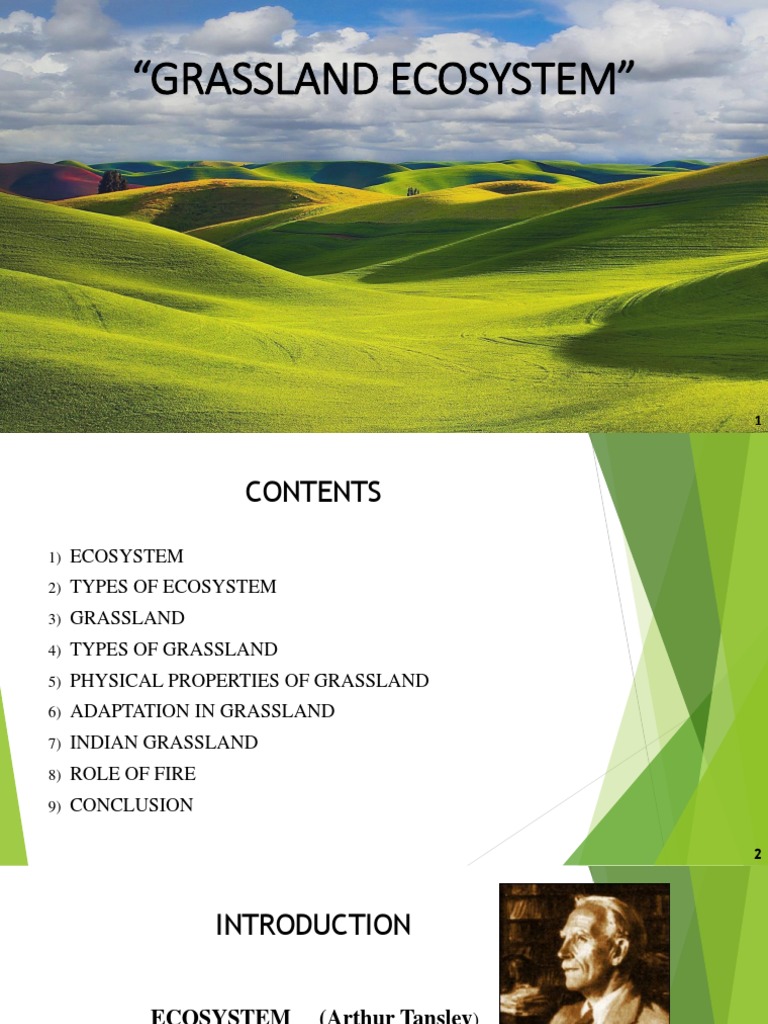 Overview of Grassland Ecosystems | PDF | Grassland | Nature