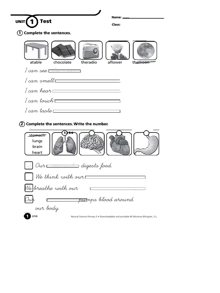 Diagnostic Test Natual Science 2º Primary Byme | Download Free PDF ...