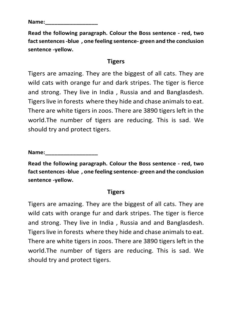 Para Writing | PDF | Tiger | Paragraph