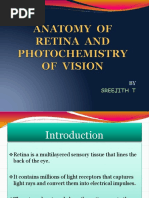 Visual Pathway | PDF | Visual System | Cerebral Cortex