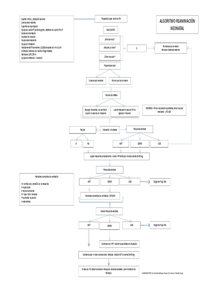 ALGORITMO_RENEO-1_1_ | Reanimación cardiopulmonar | Tratamientos médicos