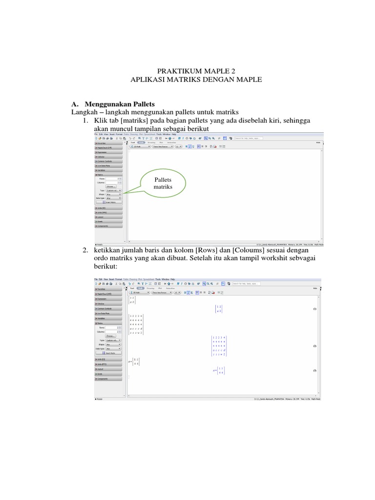 P3 - PRAKTIKUM MAPLE 2 - Aplikasi Matriks Dengan Maple | PDF