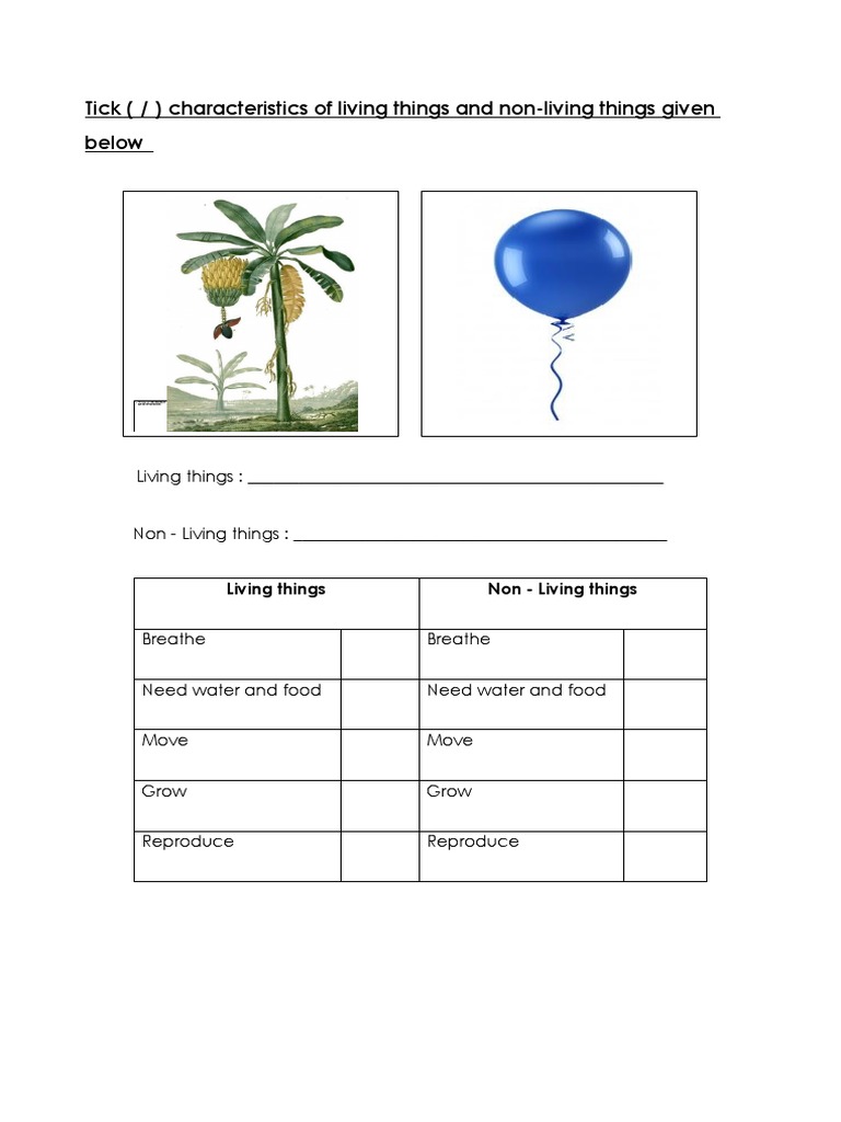 Sains Latihan Living Things Year 1 | PDF