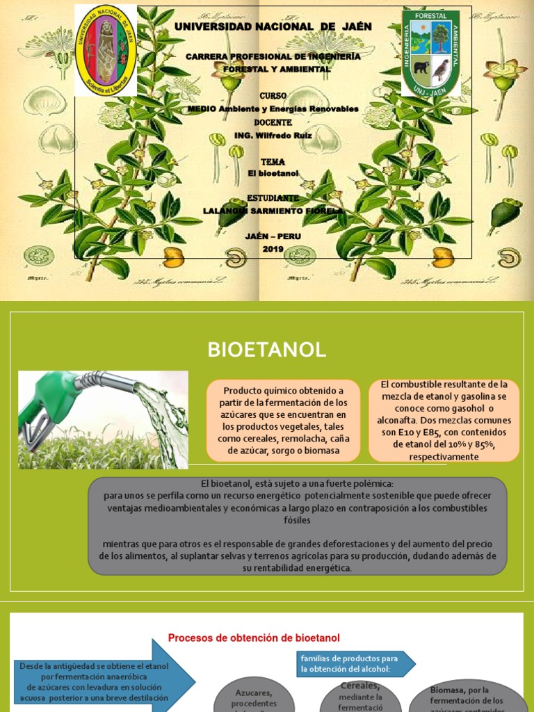 Bioetanol | PDF | Combustible de etanol | Sustancias químicas