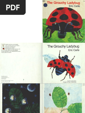 The Grouchy Ladybug Story