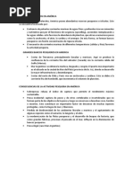 10 Ejemplos de Palabras Homogéneas | PDF | Ocio