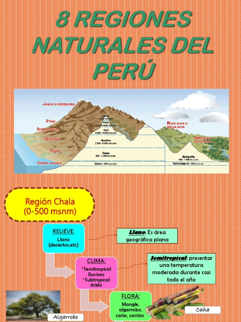8 Regiones Naturales Del Peru | PDF | Perú | Geografía Física